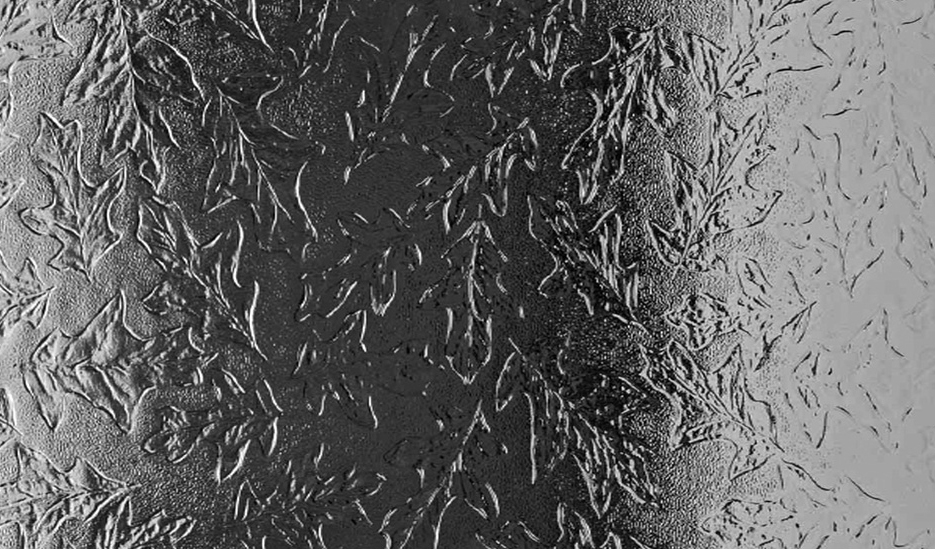 Textured Glass Range - Pilkington - Slenderline Glass